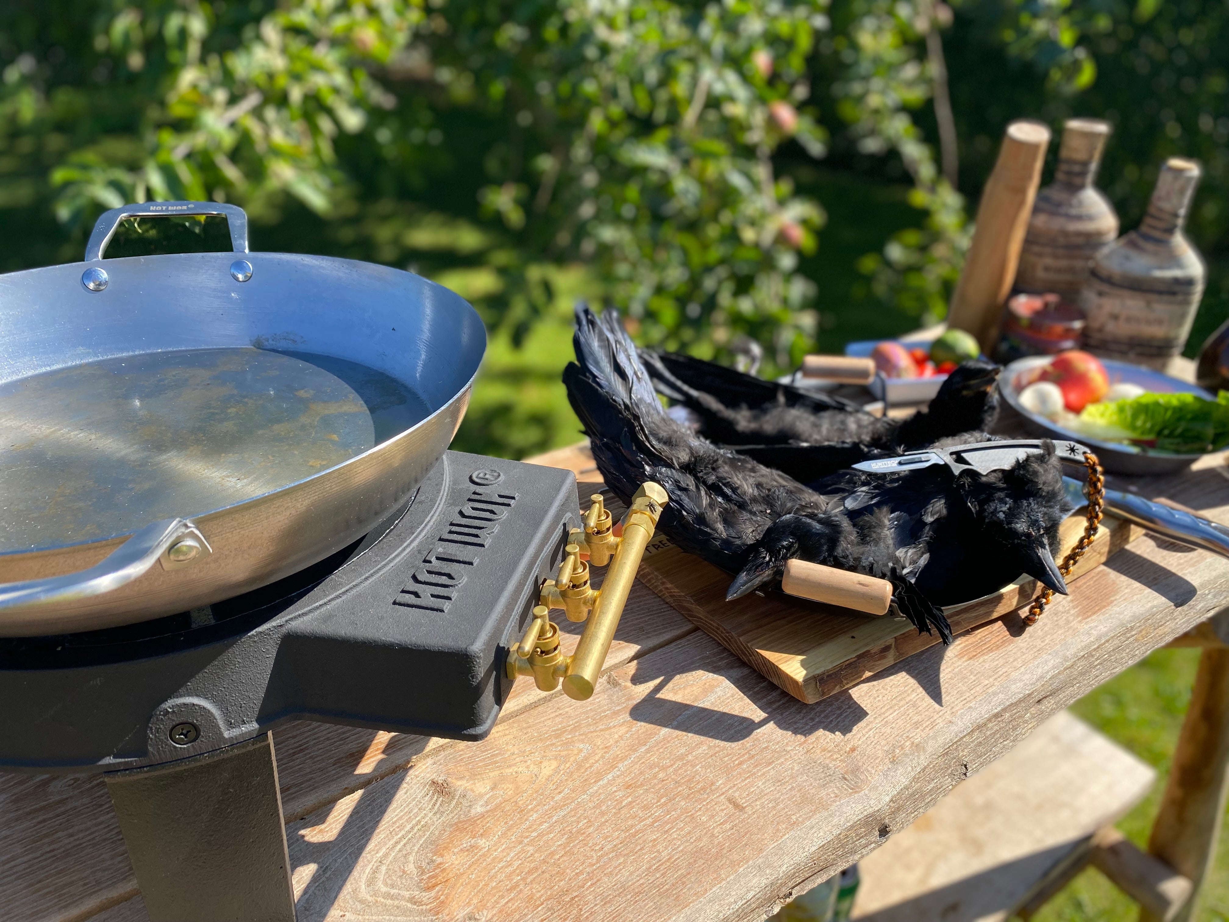 Was können Sie mit Vögeln wie Rooks kochen? – HOT WOK